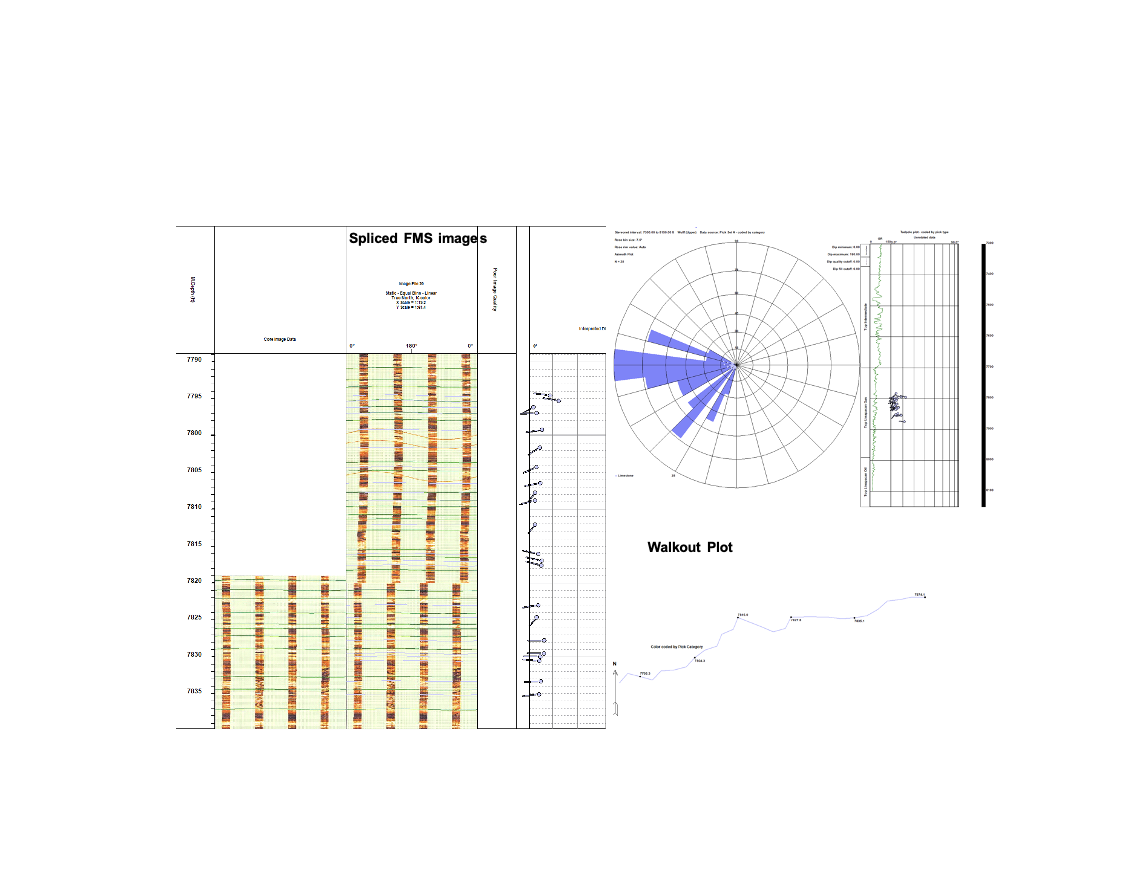 Conceptual Plan for Redevelopment of Marginal Fields
